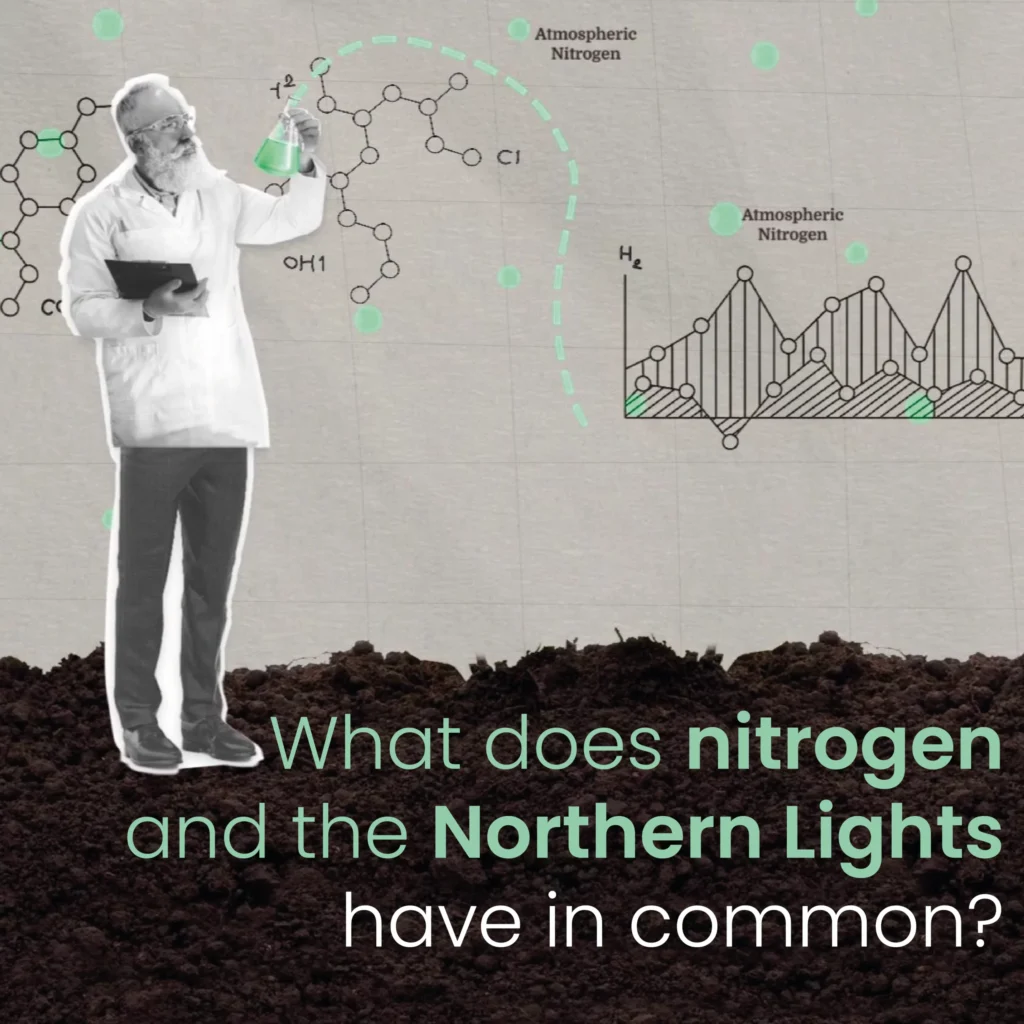 What does nitrogen and the Northern Lights have in common? | Savion Ray
